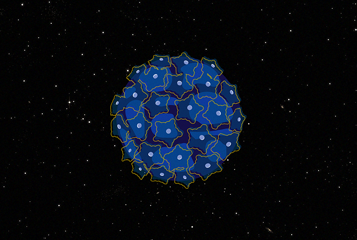 Guys, Let's Boost Your Human Papillomavirus Knowledge Base