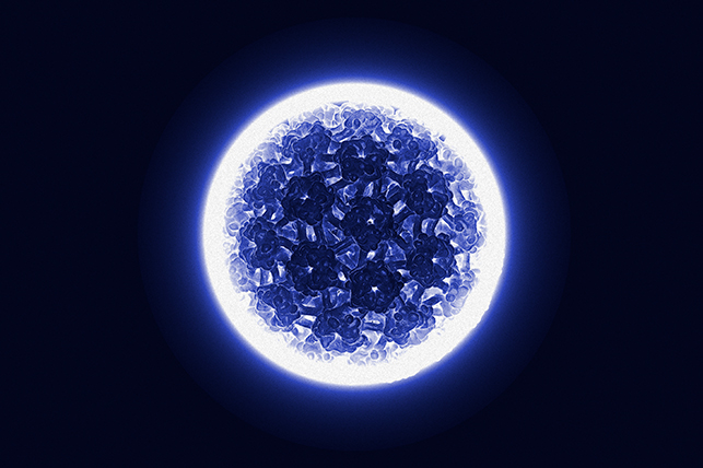 Things You Didn't Know About HPV