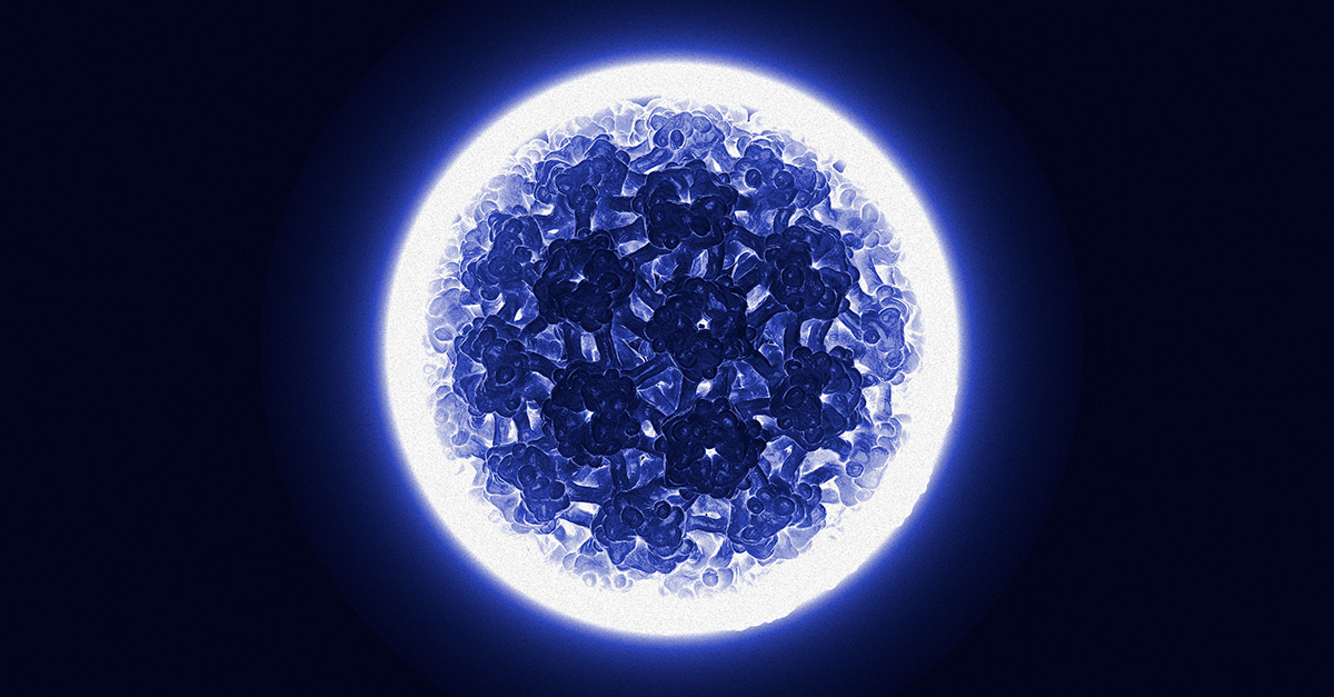 Things You Didn't Know About HPV